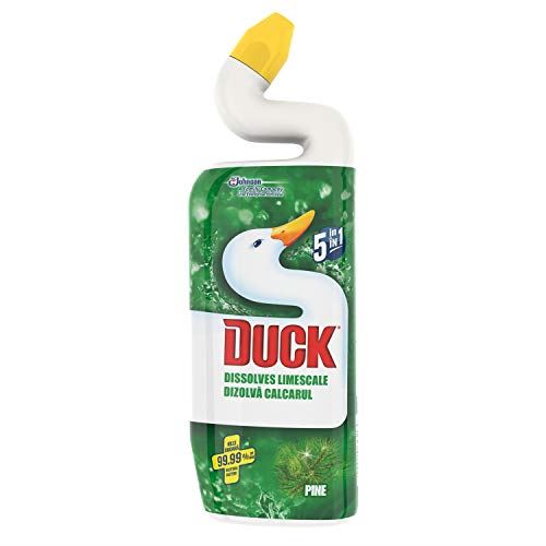 Duck Toilet Cleaner Pine 750ml - RangePlus