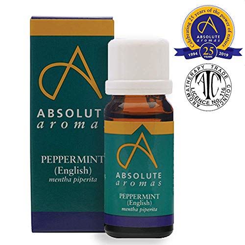 Absolute Aromas Peppermint English Essential Oil - RangePlus